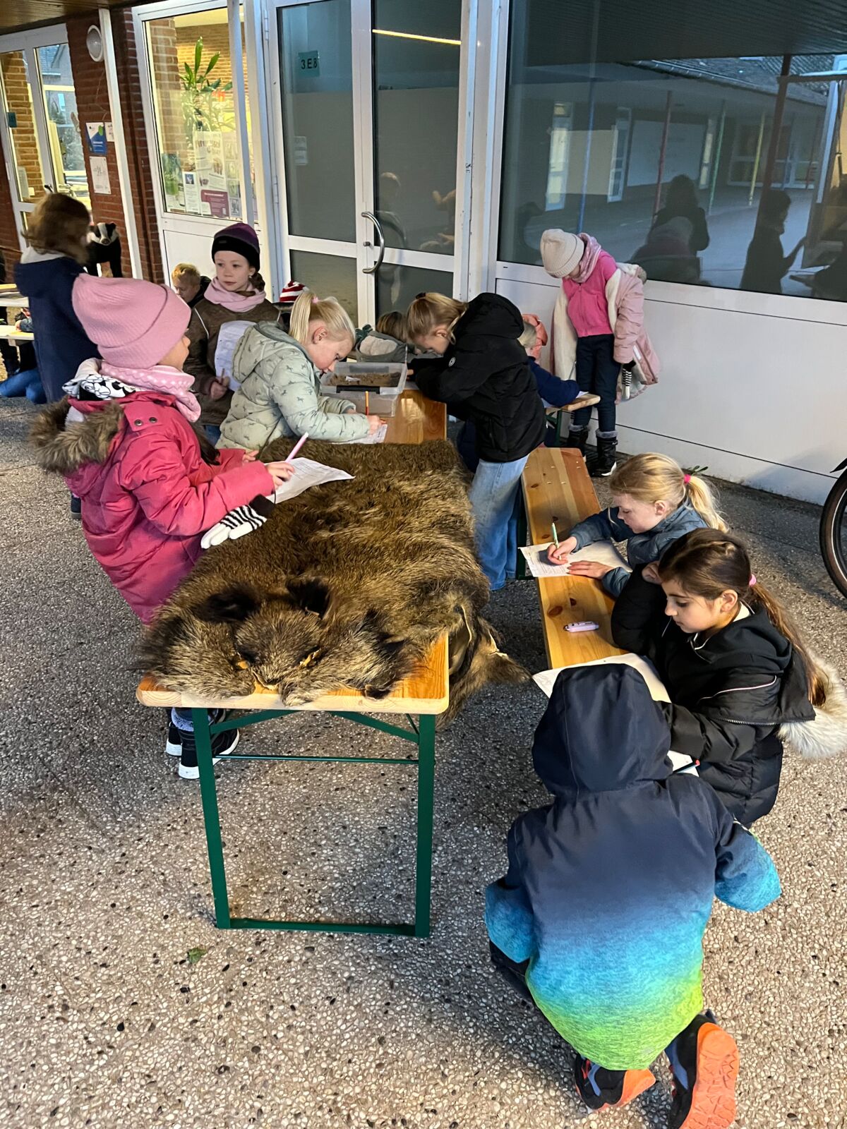 Die "Rollende Waldschule" - Grundschulverbund Liebfrauen